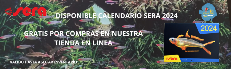 Discus Roa Fish Todo lo Que su acuario necesita en un solo lugar